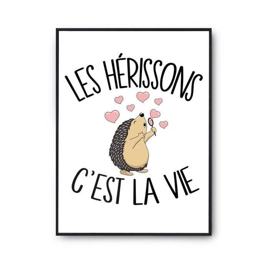 Affiche - Hérisson - Poster Humour - Papier 310 g/m² - A2 - Décoration ...