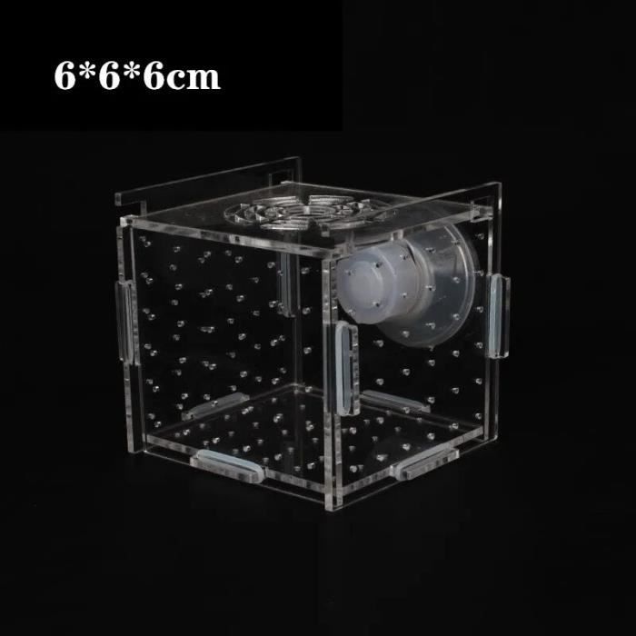 Boîte d'élevage de poissons - Mini - Acrylique - Transparent ...