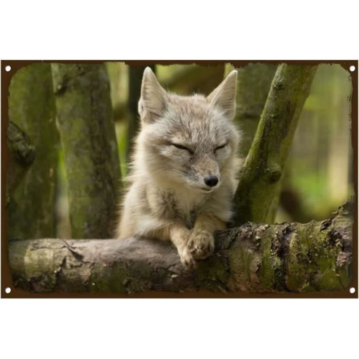 Poster Métallique Affiche,Renard des Animaux de la forêt,Peinture Art ...