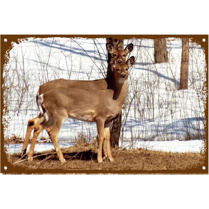 Plaque publicitaire Vintage en étain Murale -Cerf Orignal Animal de la ...