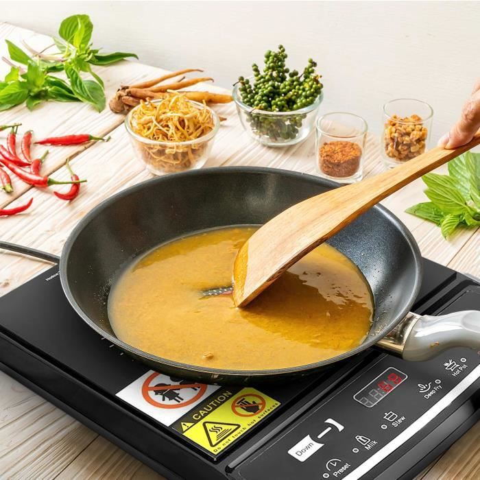 Plaque de Cuisson à Induction Double, Table de Cuisson Portable ...