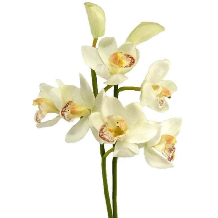 Bouquet artificiel Cymbidium Orchidée blanche violet 2 branches 46 cm ...