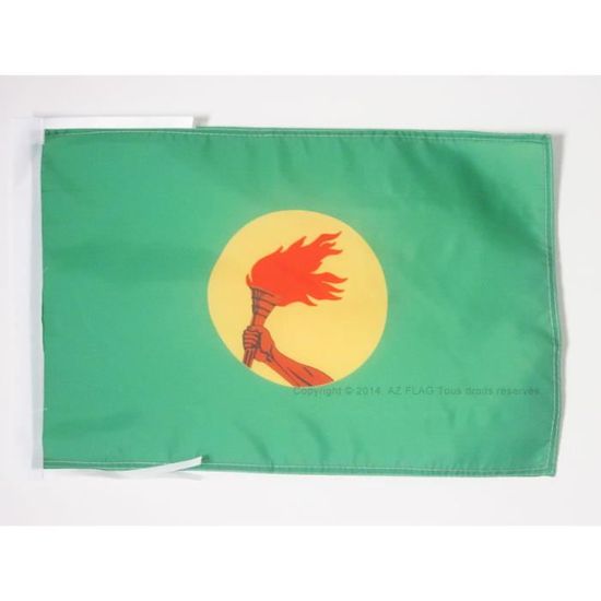 Drapeau Zaïre 45x30cm - zaïrois Haute qualité - Cdiscount Maison