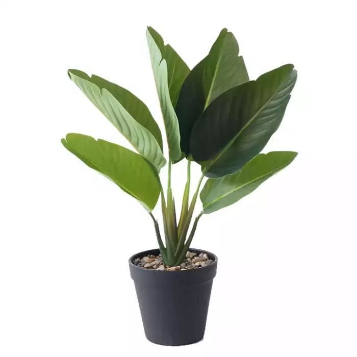 Type 2 Ajouter une carte TF 32G-Mini caméra HD 1080P pour plante ...