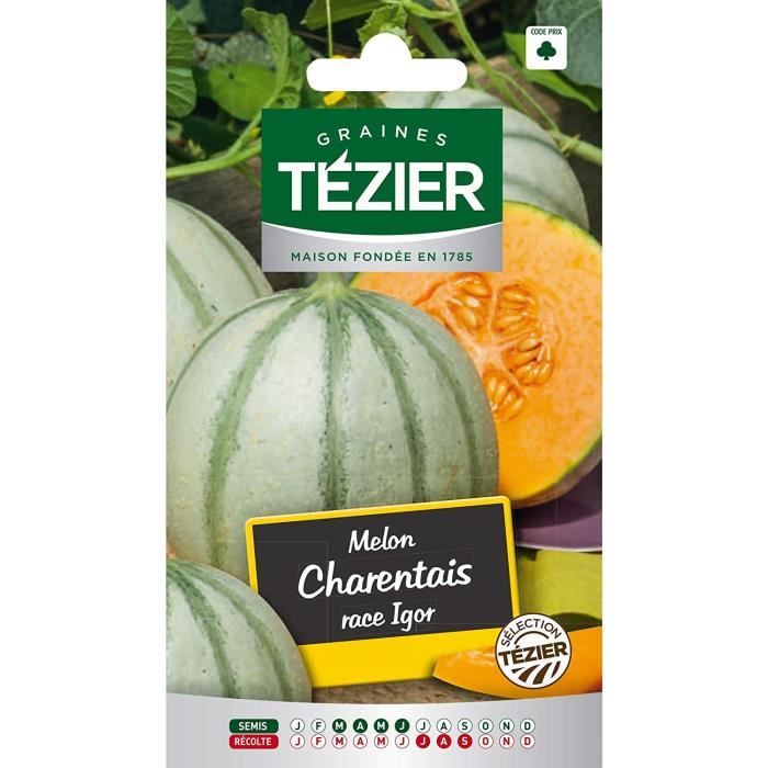 Sachet Graines - Tezier - Melon Charentais race Igor sélection Tézier ...