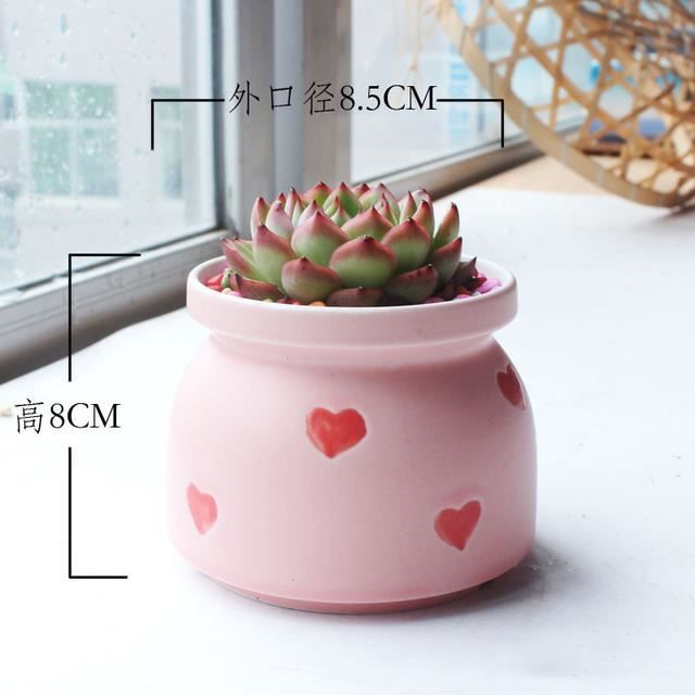 POT DE FLEUR,18--Pot de plantes succulentes avec trou, Design Floral ...