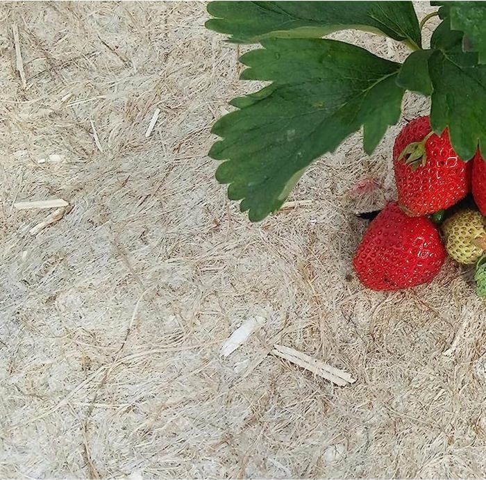 Bche De Paillage En Chanvre Pour Protection Durable Du Sol Et Des ...