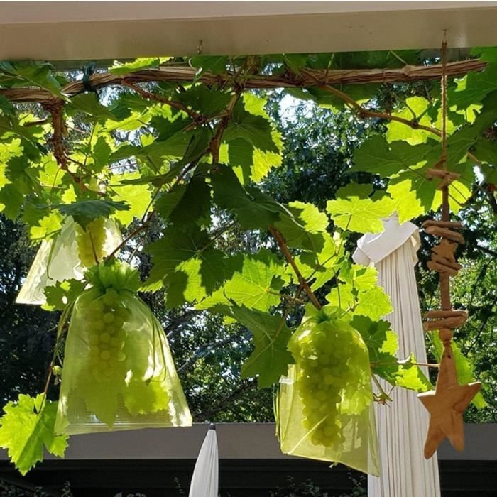 Sac de protection pour raisins en organza - TRAHOO - 20x30cm - anti ...