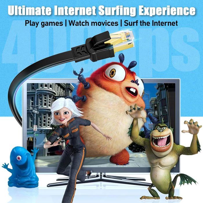 Cable Ethernet 20M Cat 8 Blindé, Cable Rj45 Cat 8 20M Plat Haut Debit ...