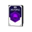 WESTERN DIGITAL Disque dur WD Purple WD101PURZ - 3.5" Interne - 10 To ...
