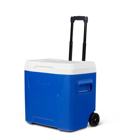 Igloo Laguna 28 Glacière sur roues - 26 Litre - Bleu - Cdiscount Maison
