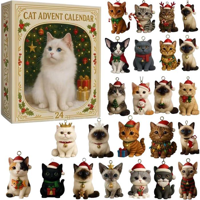 Calendrier De L Avent Pour Chat