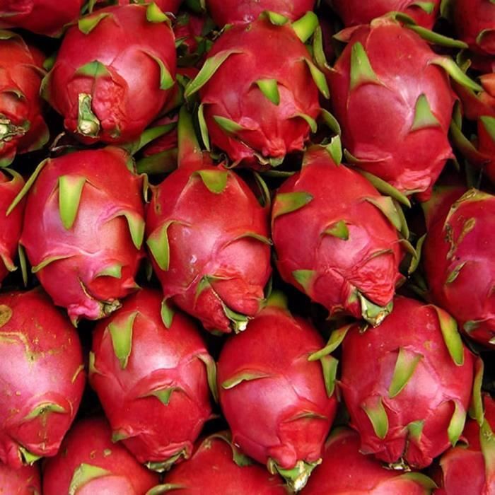 50pcs Pitaya Graines Dragon Fruit Valeur Ornementale Récolte De Fruits ...