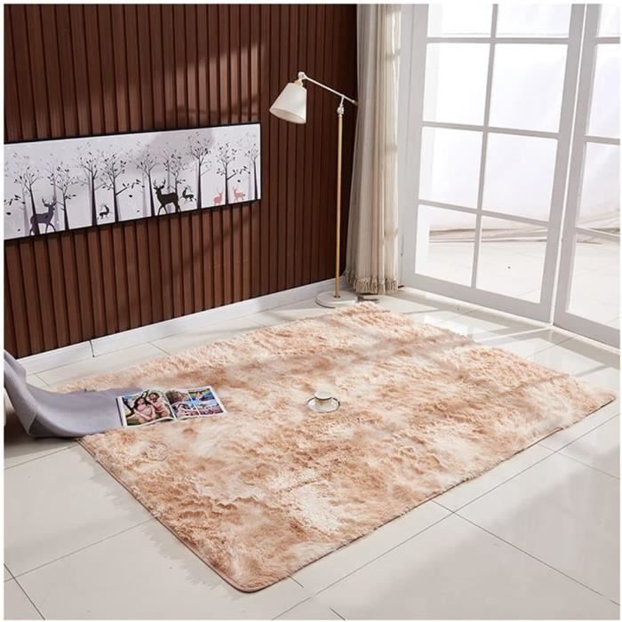 Tapis Doux Moelleux Tie-Dye Dégradé Salon Chambre Décoration Tapis ...
