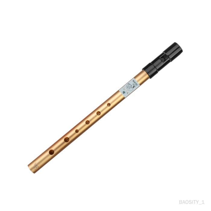 Sifflet de flûte traditionnelle - Auréat - Penny Whistle - 6 trous ...