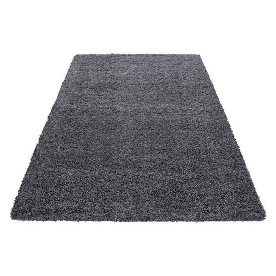 Teppium Tapis shaggy à poils longs unicolore Tapis unicolores pour le salon [GRIS, 240 x 340 cm ...