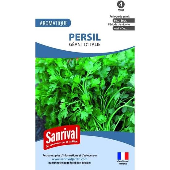 Persil Géant D'Italie[z3923] - Cdiscount Jardin