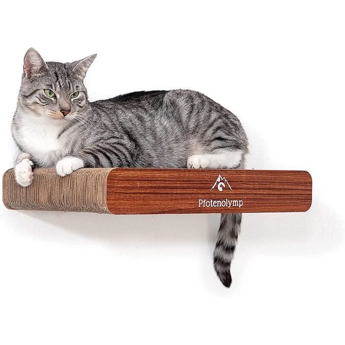 Griffoir Mural - Planche à Gratter - Tapis à Griffer pour Chats – Lit ...