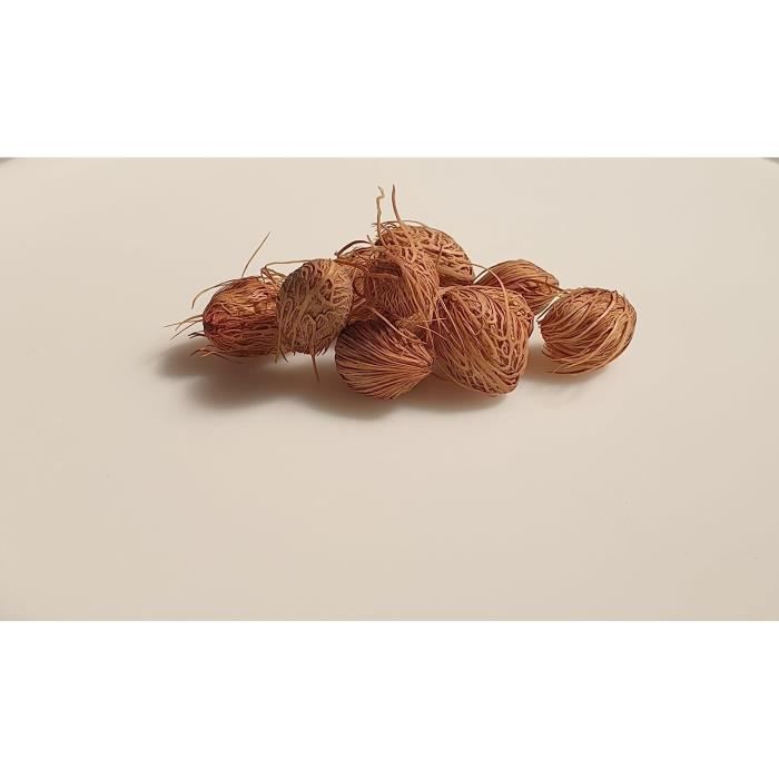 10 Graines-Palmiste Multipliant-Dypsis Lutescens[x2197] - Cdiscount Jardin