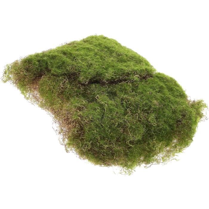 Bloc De Cuir Imitation Mousse Tapis Artificiel Jardins De Fées Décor ...