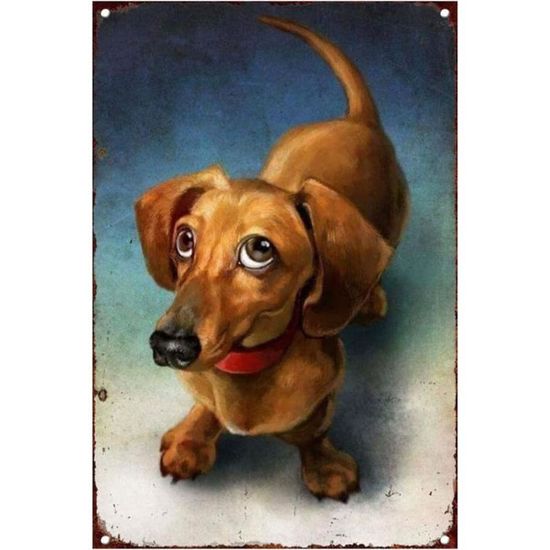 Poster Métallique Affiche,Teckel Chien Animal,Peinture Art Décoratif ...