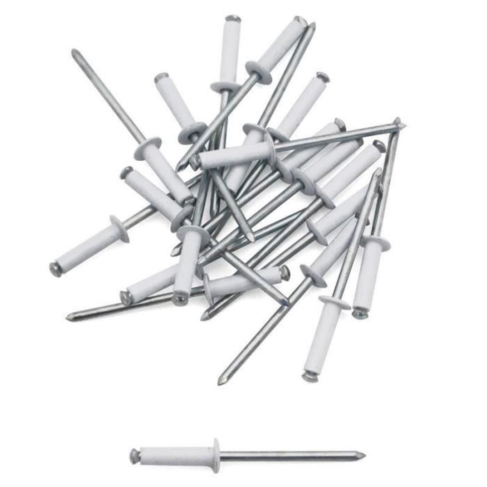 Rivet plaque immatriculation P2R Pavese - Cdiscount Auto