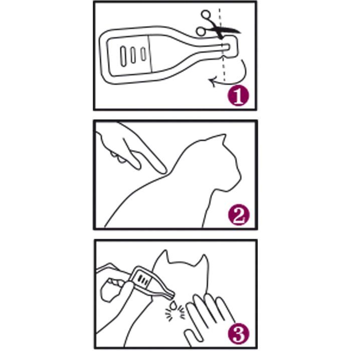 Pipette Chat Anti Puces Et Tiques | Traitement Et Protection ...