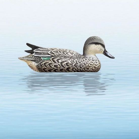 APPELANT CANARD SARCELLE D'HIVER SPORT PLAST - Femelle - Cdiscount Sport