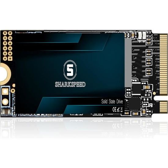 Sharkspeed Ssd 1To M.2 2242 Nvme Pcie Gen3.0X4 42Mm Disque Dur Ssd ...