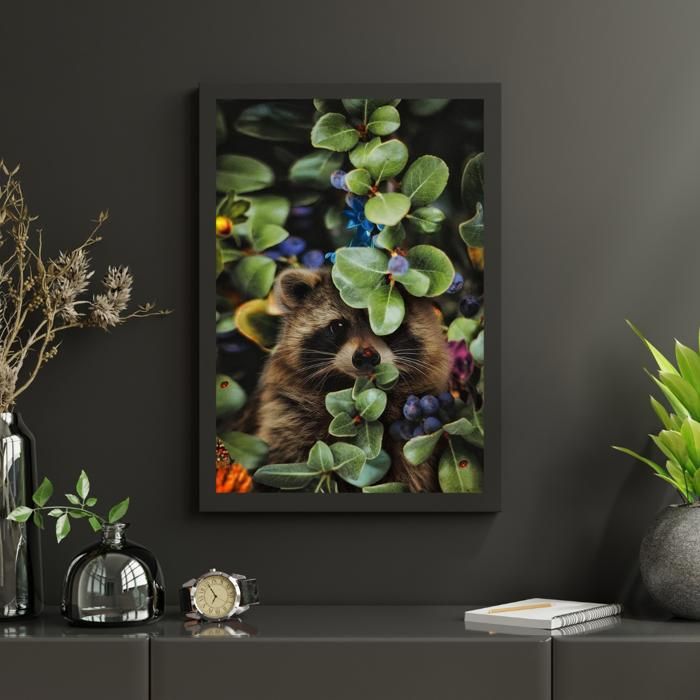 Affiche Raton Laveur - 30x40cm - Animaux - Affiche Poster Décoration ...