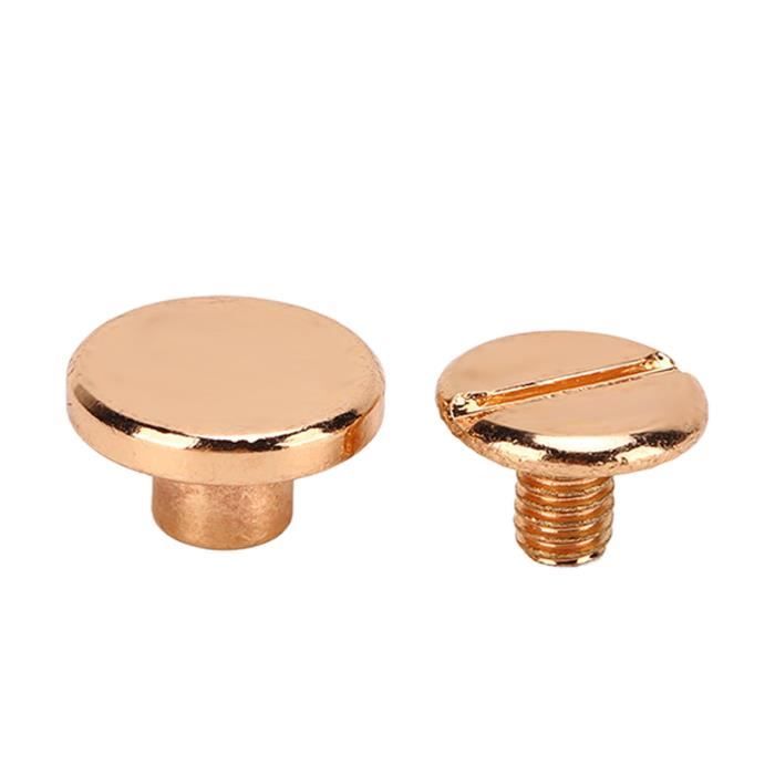 Duokon vis de reliure de livre Kit Assorti de Vis à Reliure, Lot de 200 ...