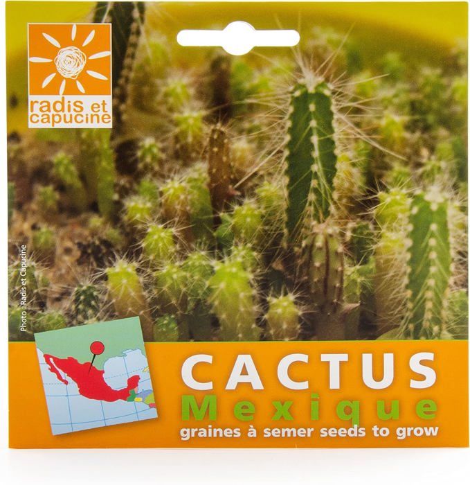 Sachets Graines Exotiques À Semer Cactus à semer à la maison.[Q142 ...
