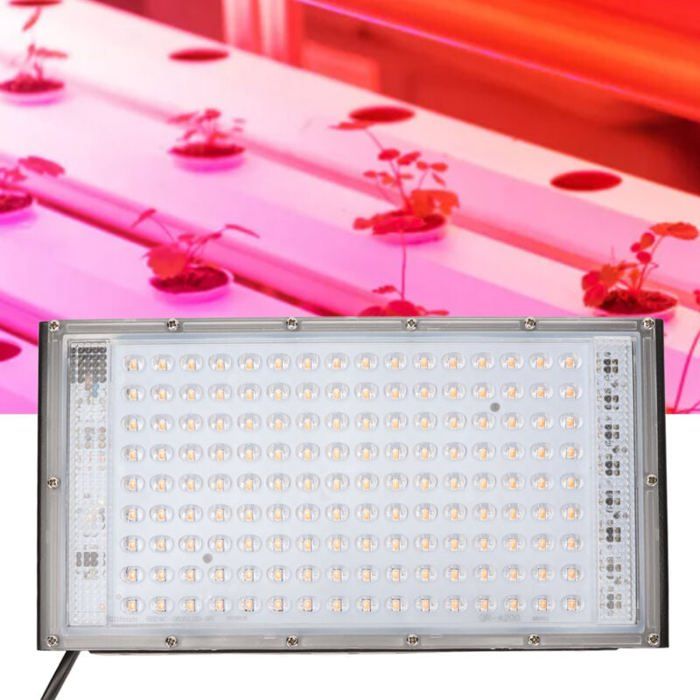 Lumière LED à Spectre Complet 200W pour Serre, Plantes et Fleurs ...