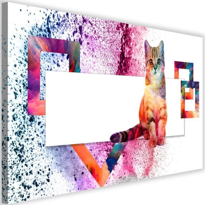 Image murale imprimée Tableau Toile moderne Canevas Chatton coloré ...