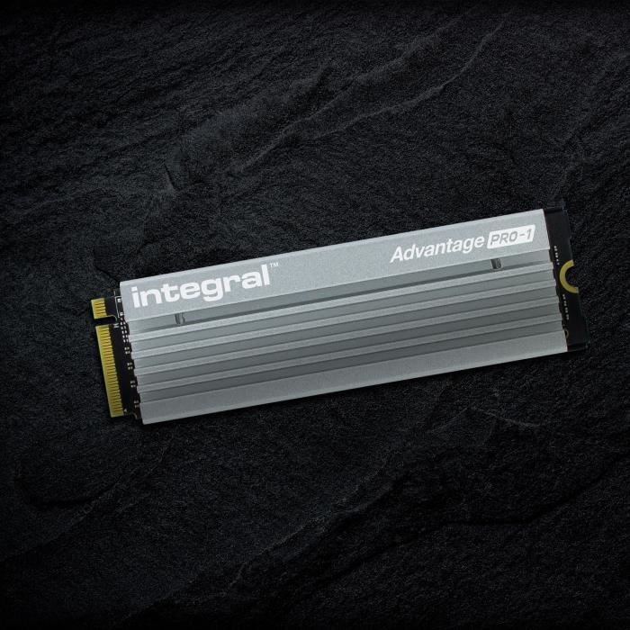INTEGRAL - Disque SSD Interne - ADVANTAGE PRO-1 Dissip.Therm. Incl.-M.2 ...