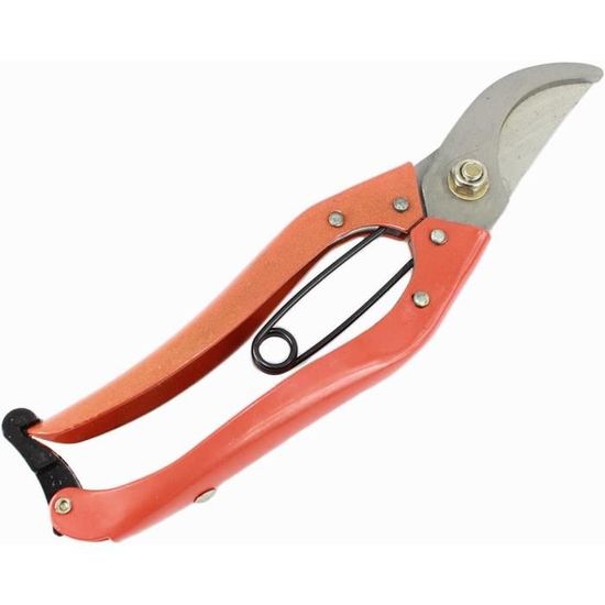 Gullor S¨cateur - les outils de taille en acier inoxydable et cisailles ...