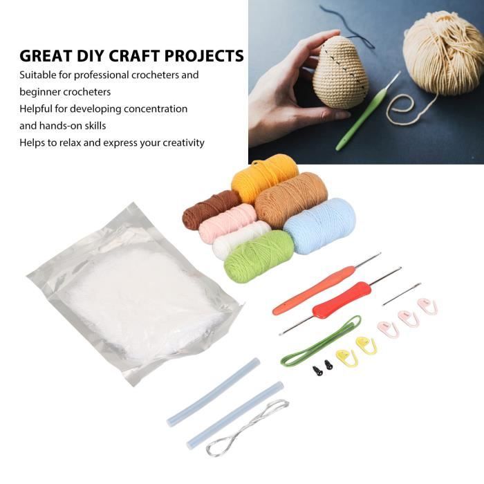Kit de crochet débutant Kit de crochet pour débutant, bricolage ...
