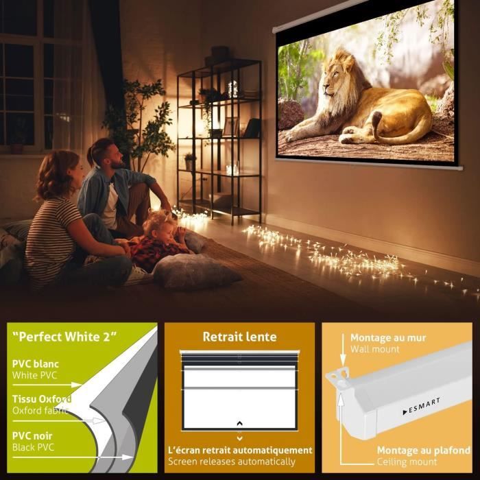 Professionnel Mirolo Écran De Projection Manuel 203 X 114 Cm (92") 16:9 ...
