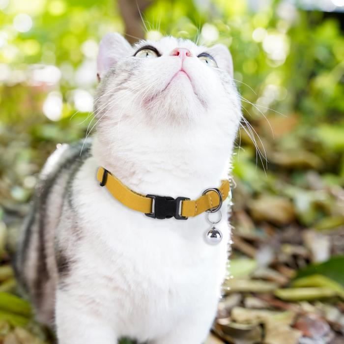Collier Pour Chat En Cuir Souple Réglable Pour Chatons Avec Cloche Rose ...