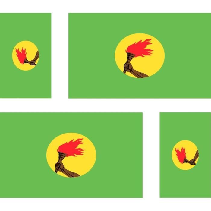 4 autocollant sticker voiture drapeau zaire - Cdiscount Auto