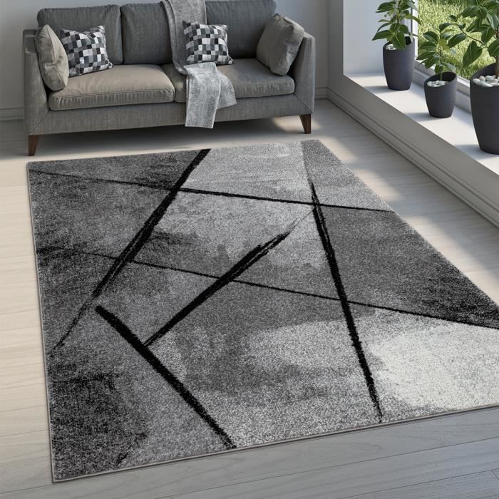Paco Home Tapis Salon Tapis Salon Poils Ras Motif Moderne Abstrait ...