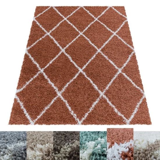 Tapis shaggy au design scandinave en losanges tapis poil long pour le salon Couleur: Terre cuite ...
