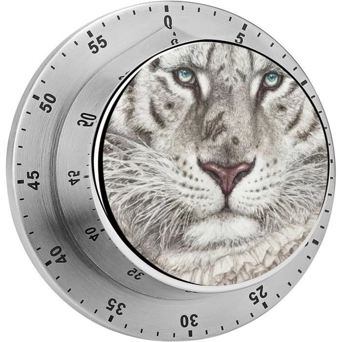 Time Timer, Art Tiger Compte À Rebours Silencieux, Outil De Gestion Du ...