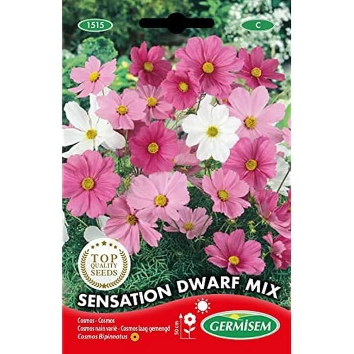 Germisem Graines Cosmos nain varié SENSATION DWARF MIX.[G351 ...