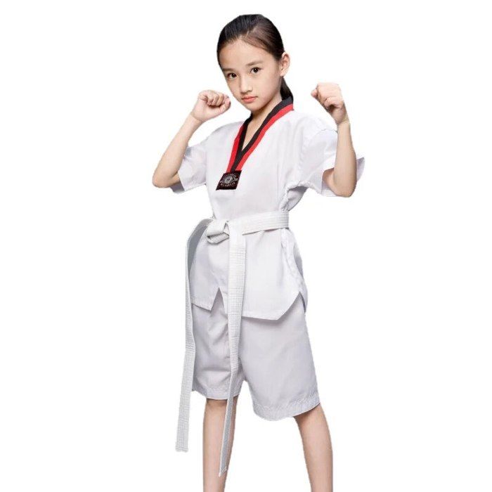 Sac de frappe,Costumes TKD blancs Taekwondo,uniformes WTF karaté Judo ...