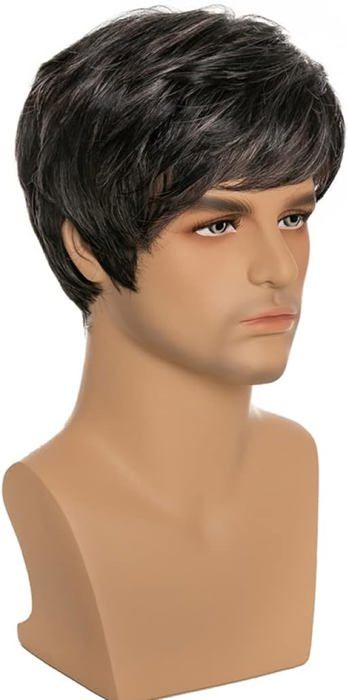 Noir Perruques synthétiques courtes noires droites pour hommes avec ...