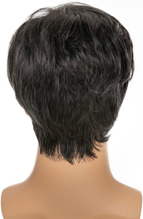 Noir Perruques synthétiques courtes noires droites pour hommes avec ...