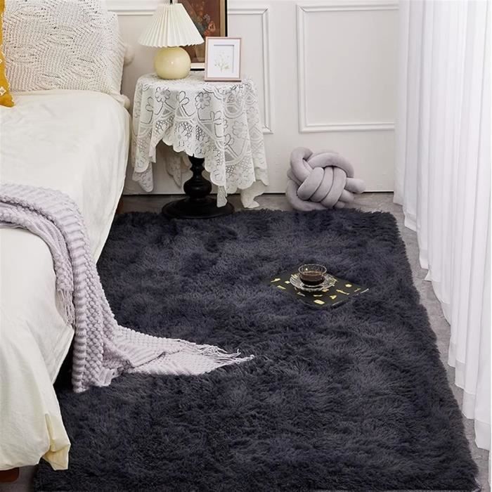 Tapis Doux Salon Tapis Anti Slip Moelleux Chambre Tapis Tapis Shaggy ...