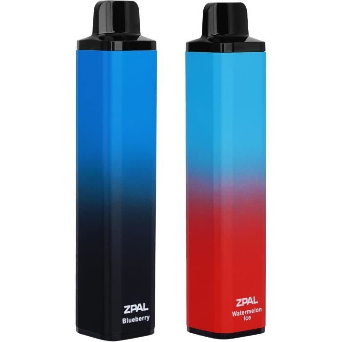 Lot de 2 Cigarette électronique Jetable Rechargeable, 5000 Puff, avec ...