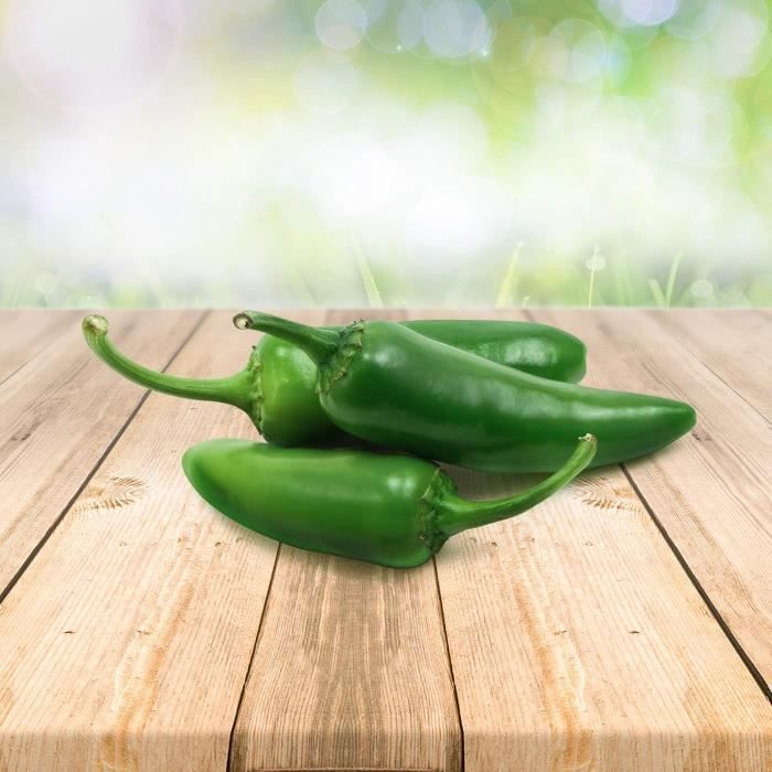 Piment Jalapeño 25 X Graines Du Portugal 100% Naturel Sans Aide À La ...